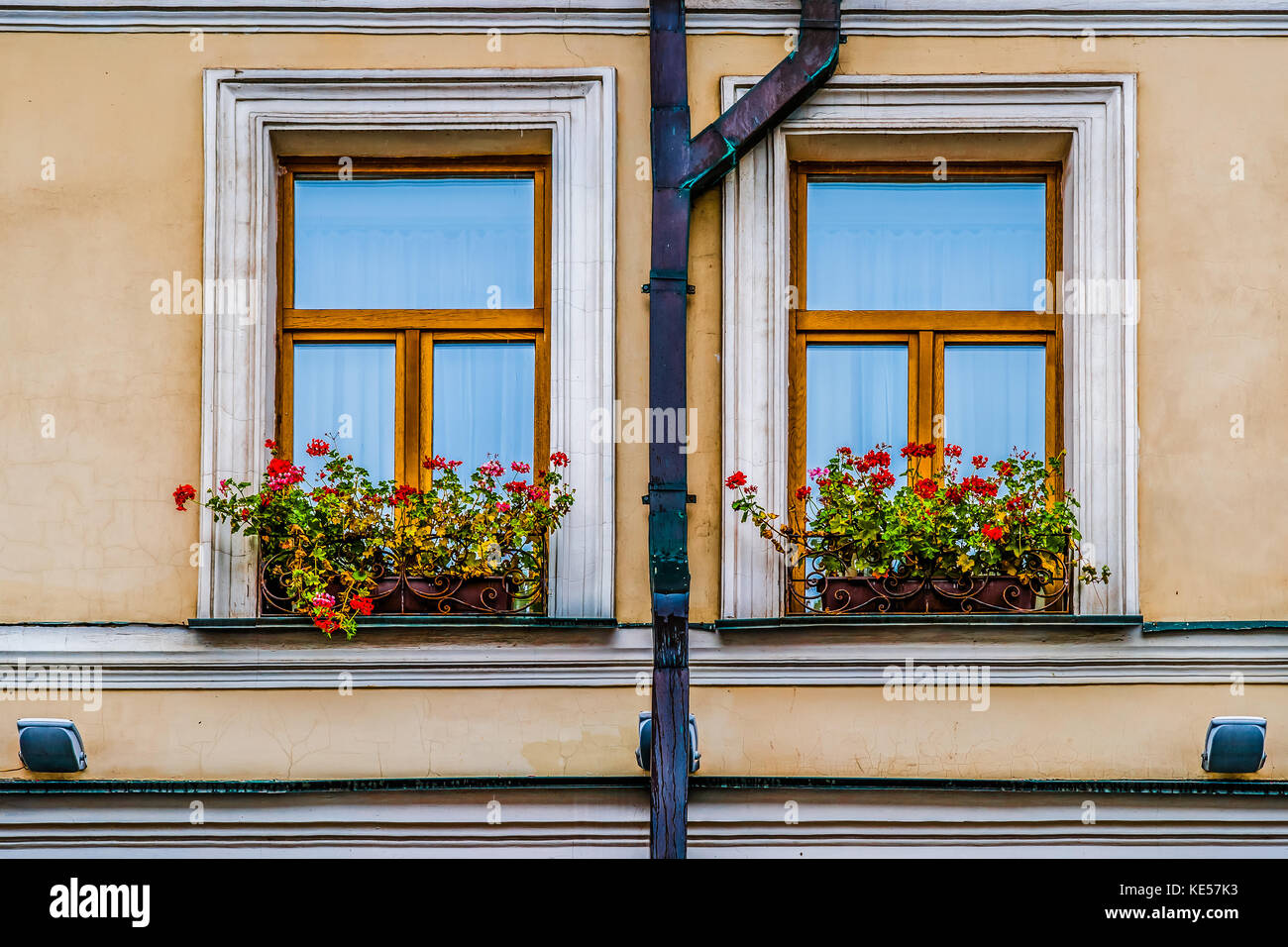 Stem windows High Resolution Stock Photography and Images - Alamy