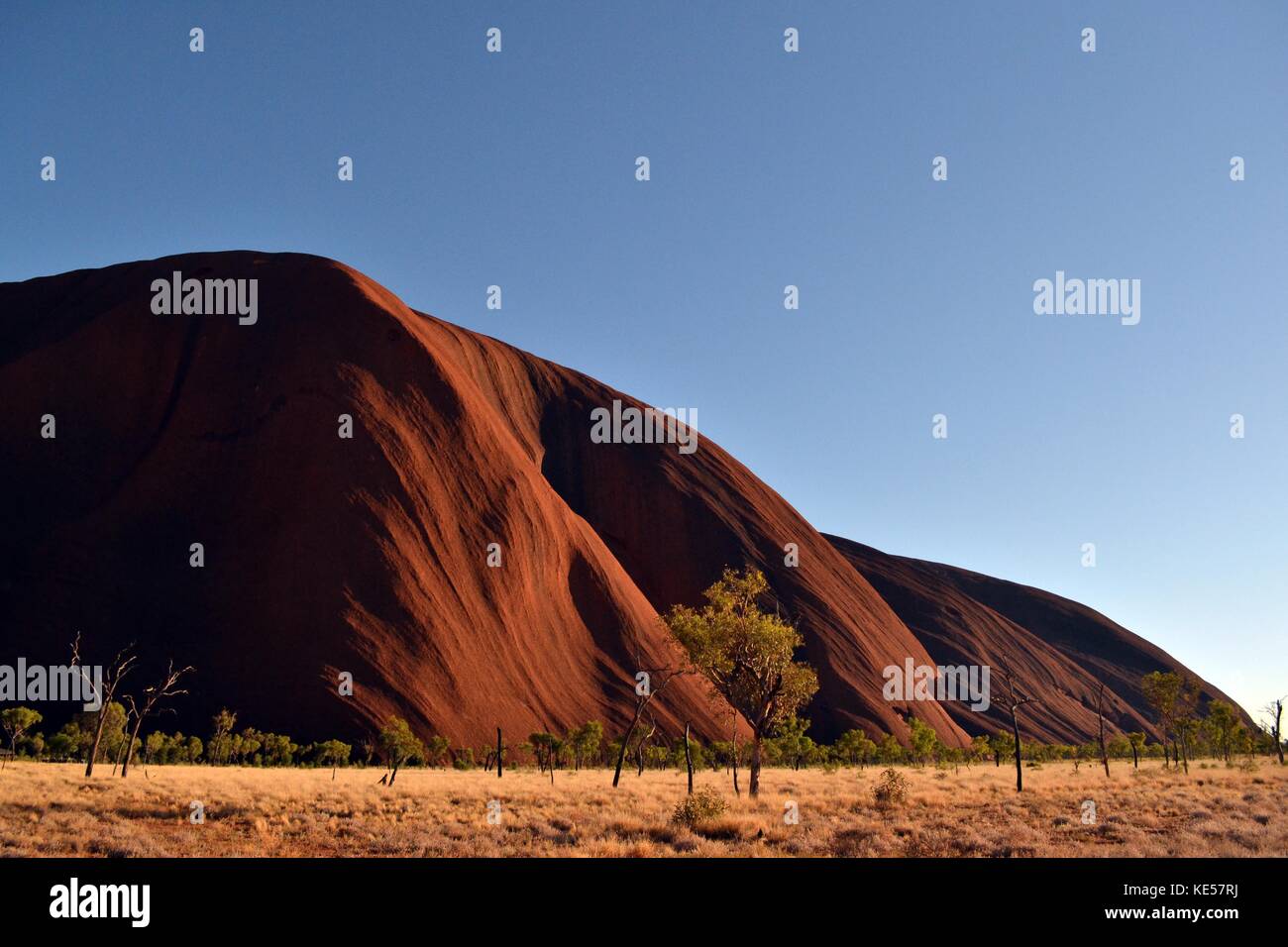 Closer to The Uluru (Uluru-Kata Tjuta National Park), Red Centre ...