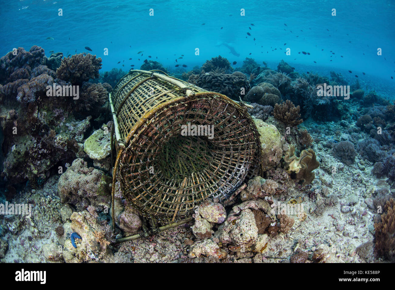 Traditional fish trap hi-res stock photography and images - Alamy