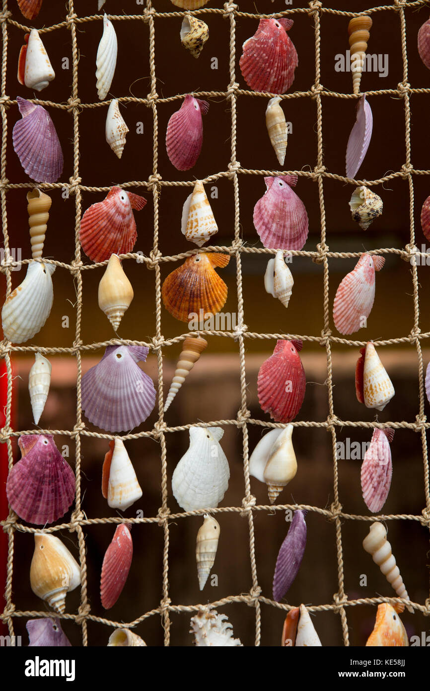 Souvenir shells hi-res stock photography and images - Alamy