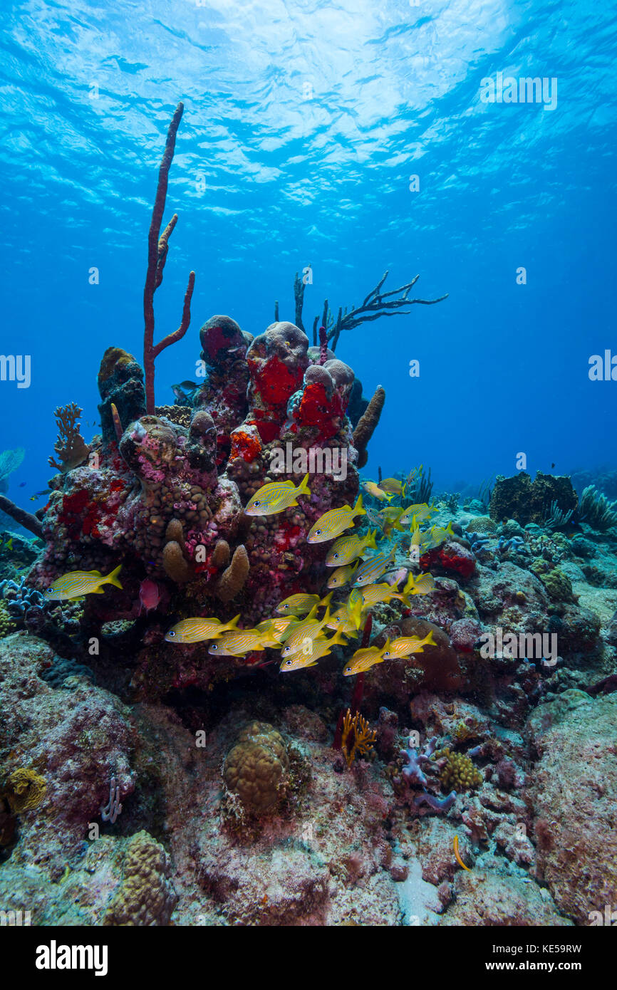St croix group islands hi-res stock photography and images - Alamy