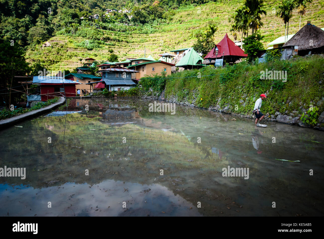 Batad Rice terraces, Banaue, Ifugao, Philippines Stock Photo - Alamy