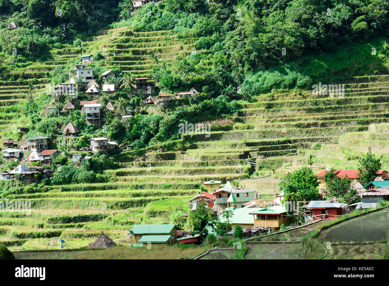 Batad Rice terraces, Banaue, Ifugao, Philippines Stock Photo - Alamy