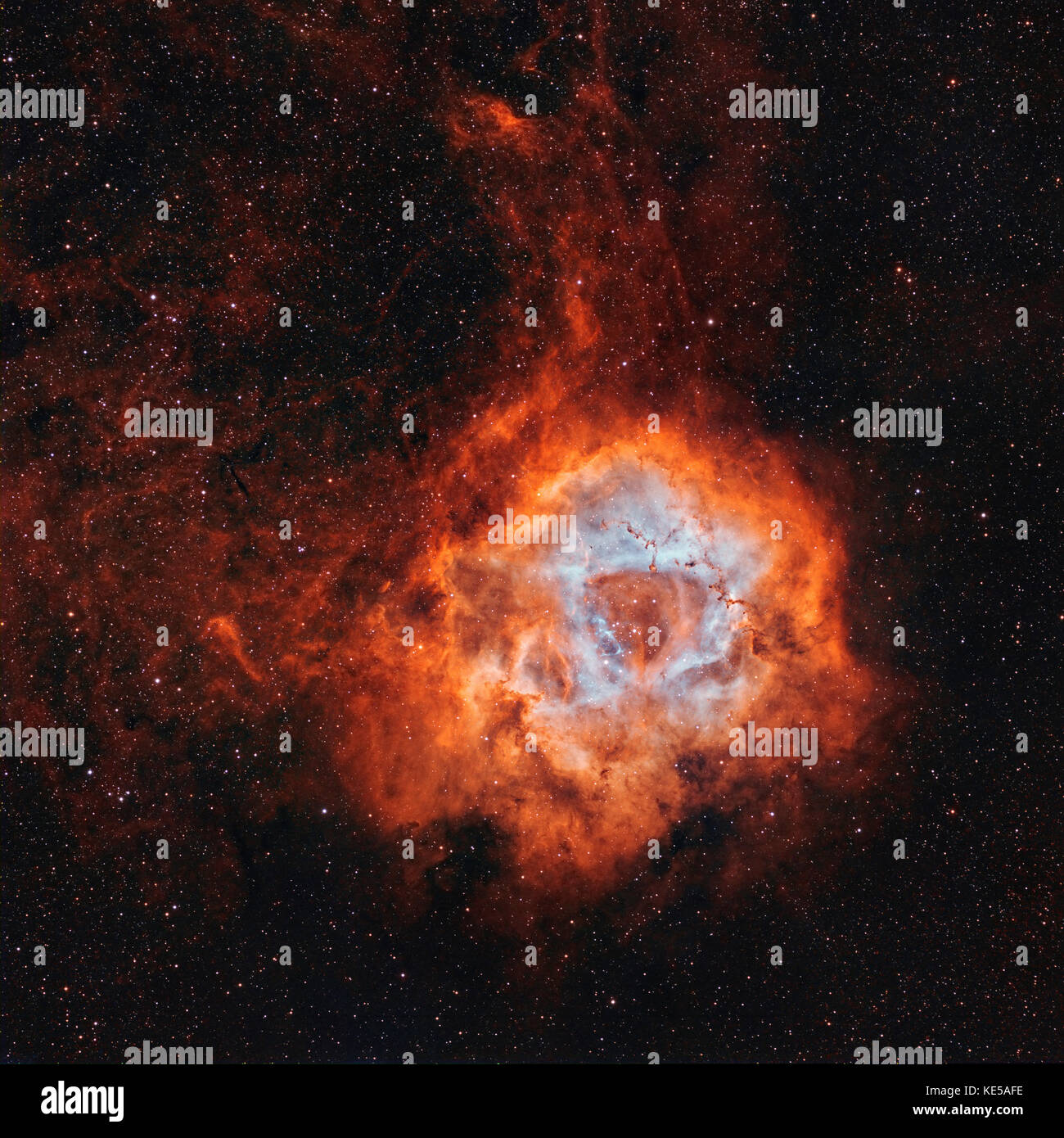 The Rosette Nebula, with open cluster NGC 2244 Stock Photo - Alamy