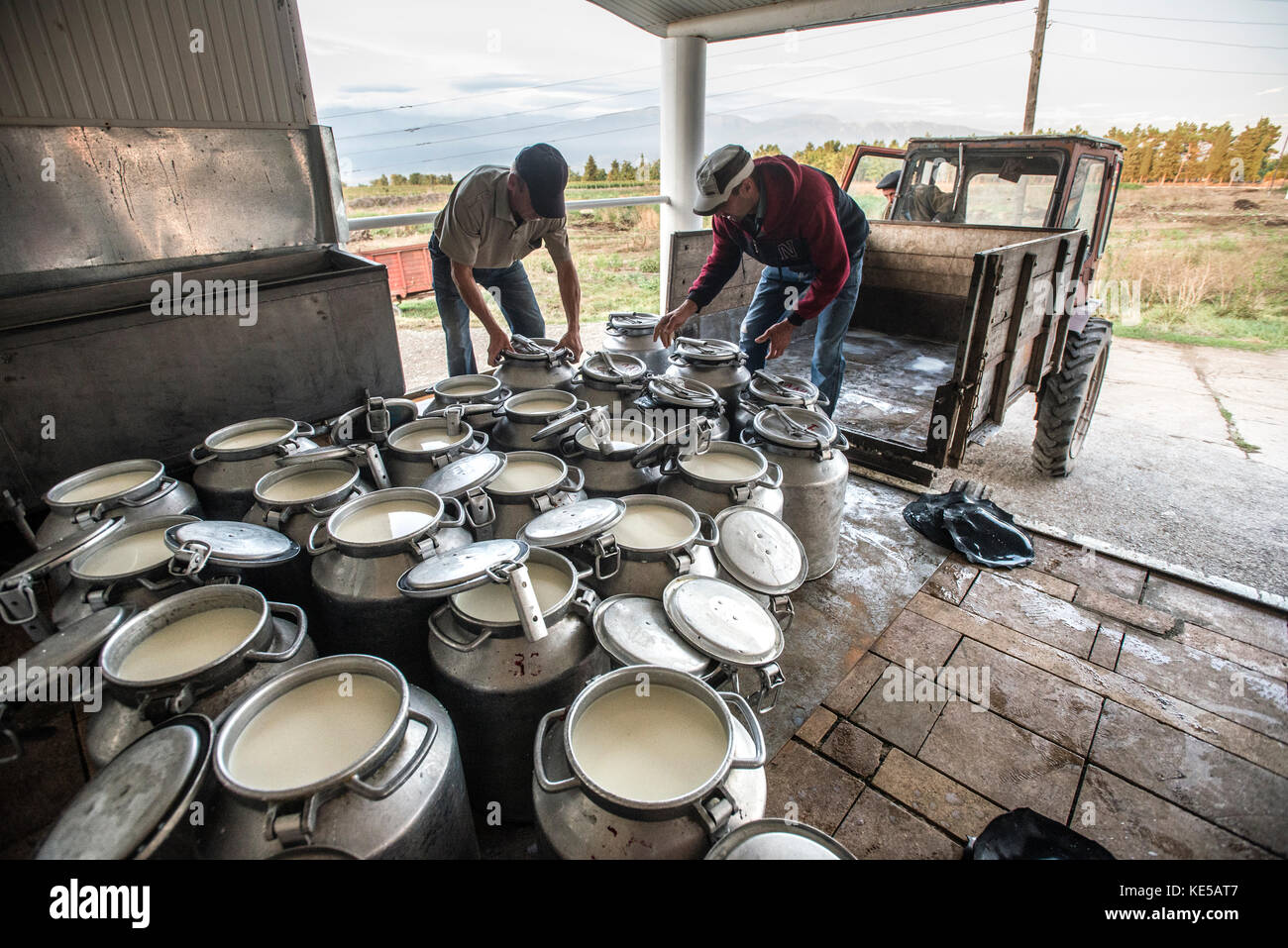 Workers of dairy factory collect milk samples at the Nikitin Kolkhoz at ...