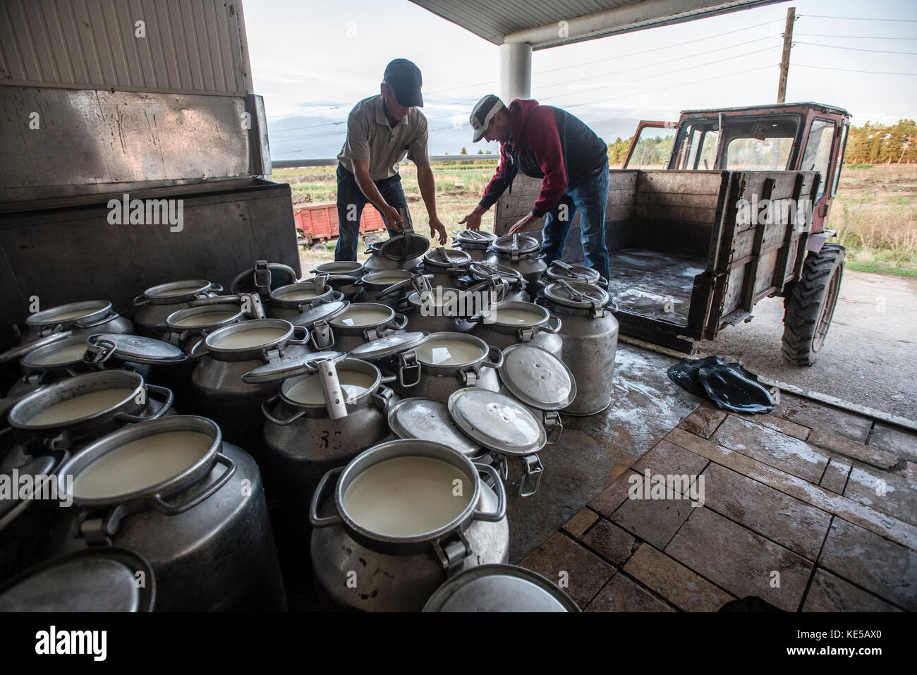 Milk samples hi-res stock photography and images - Alamy