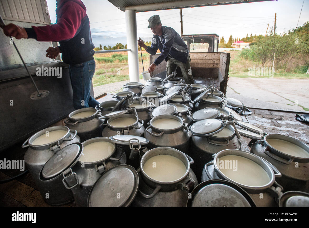 Workers of dairy factory collect milk samples at the Nikitin Kolkhoz at ...