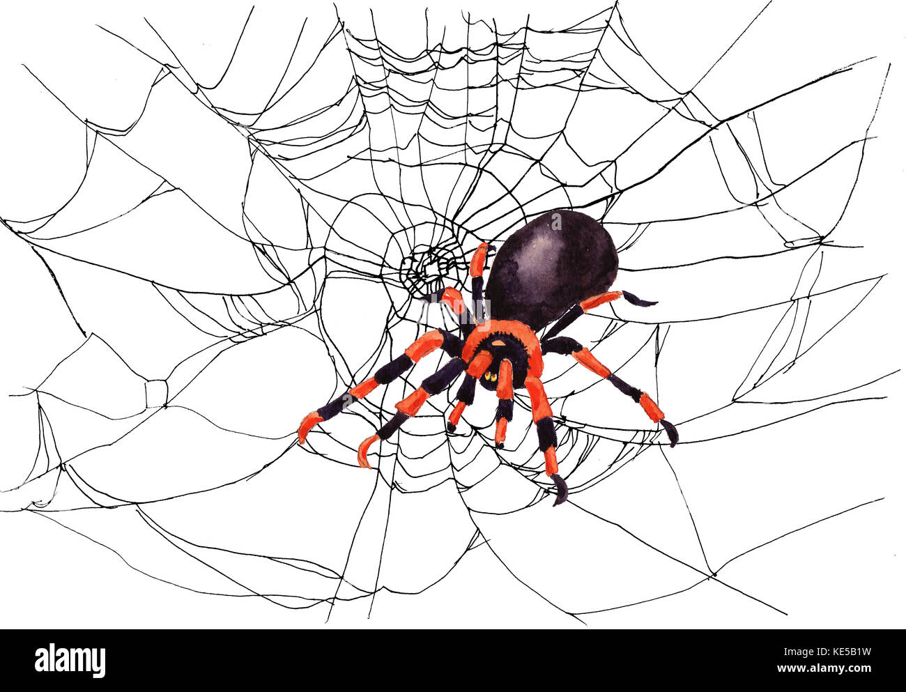 Set Of Cat Cartoon With Different Actions, Halloween Stock Photo - Alamy