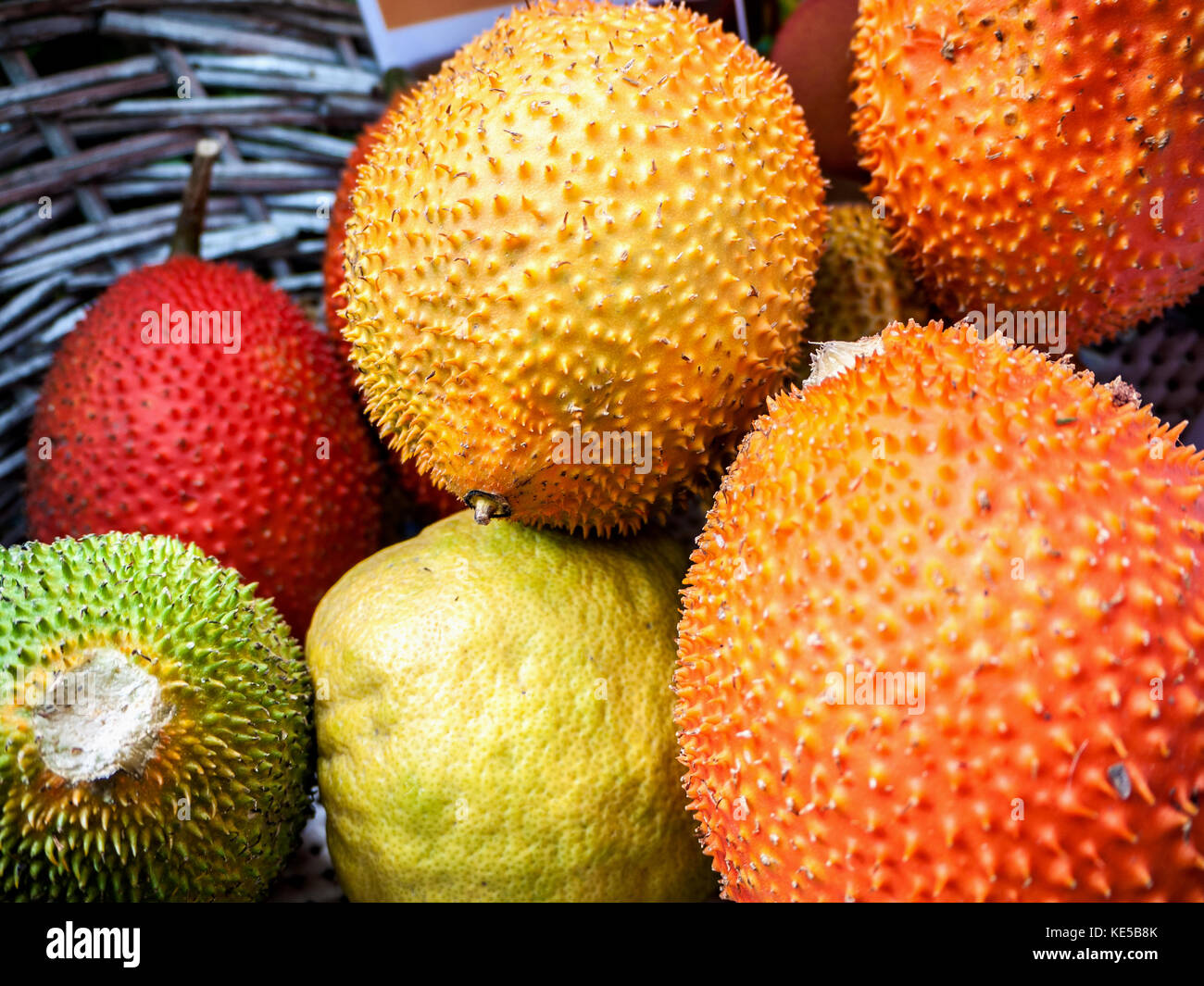 Sweet Gourd High Resolution Stock Photography and Images - Alamy