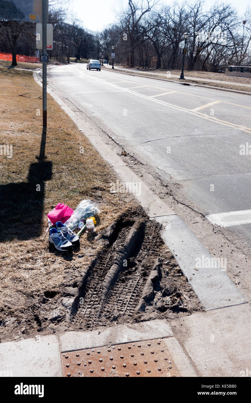 River road view of tire tracks & memorials from errant car which took ...