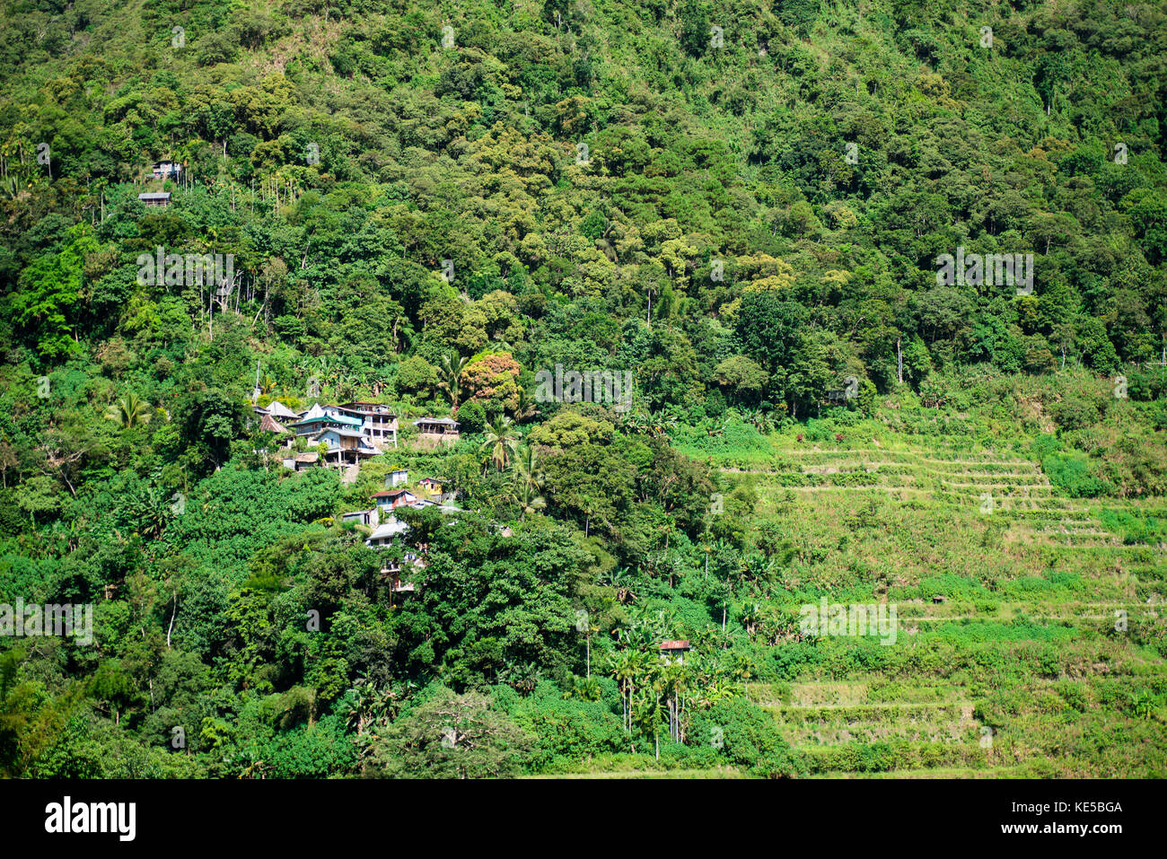 Batad Rice terraces, Banaue, Ifugao, Philippines Stock Photo - Alamy