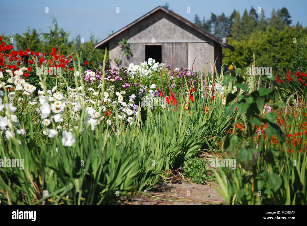 Editorial images of flowers hi-res stock photography and images - Alamy