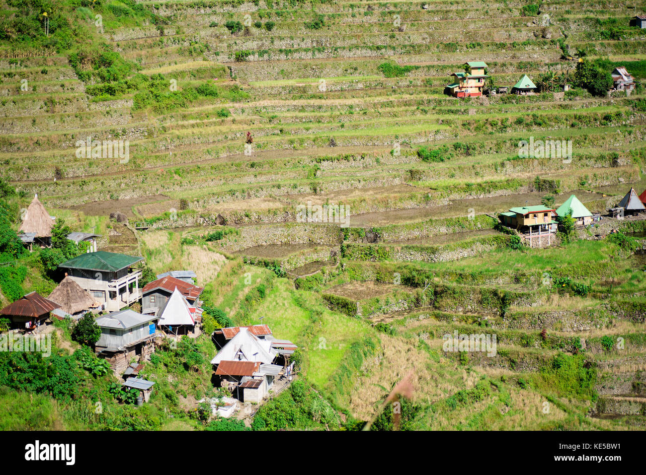 Batad Rice terraces, Banaue, Ifugao, Philippines Stock Photo - Alamy