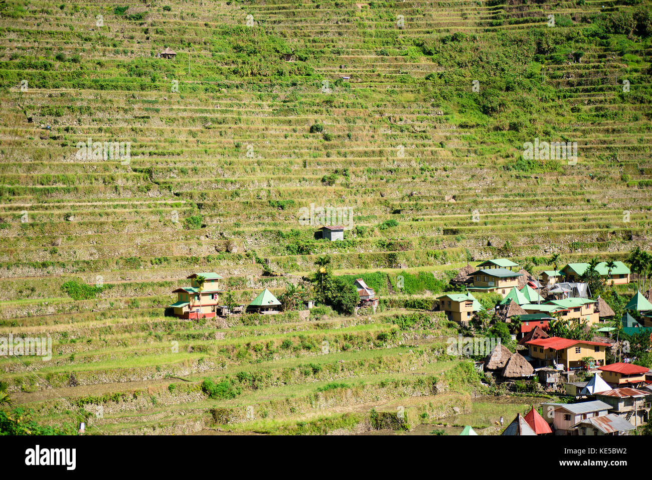 Batad Rice terraces, Banaue, Ifugao, Philippines Stock Photo - Alamy