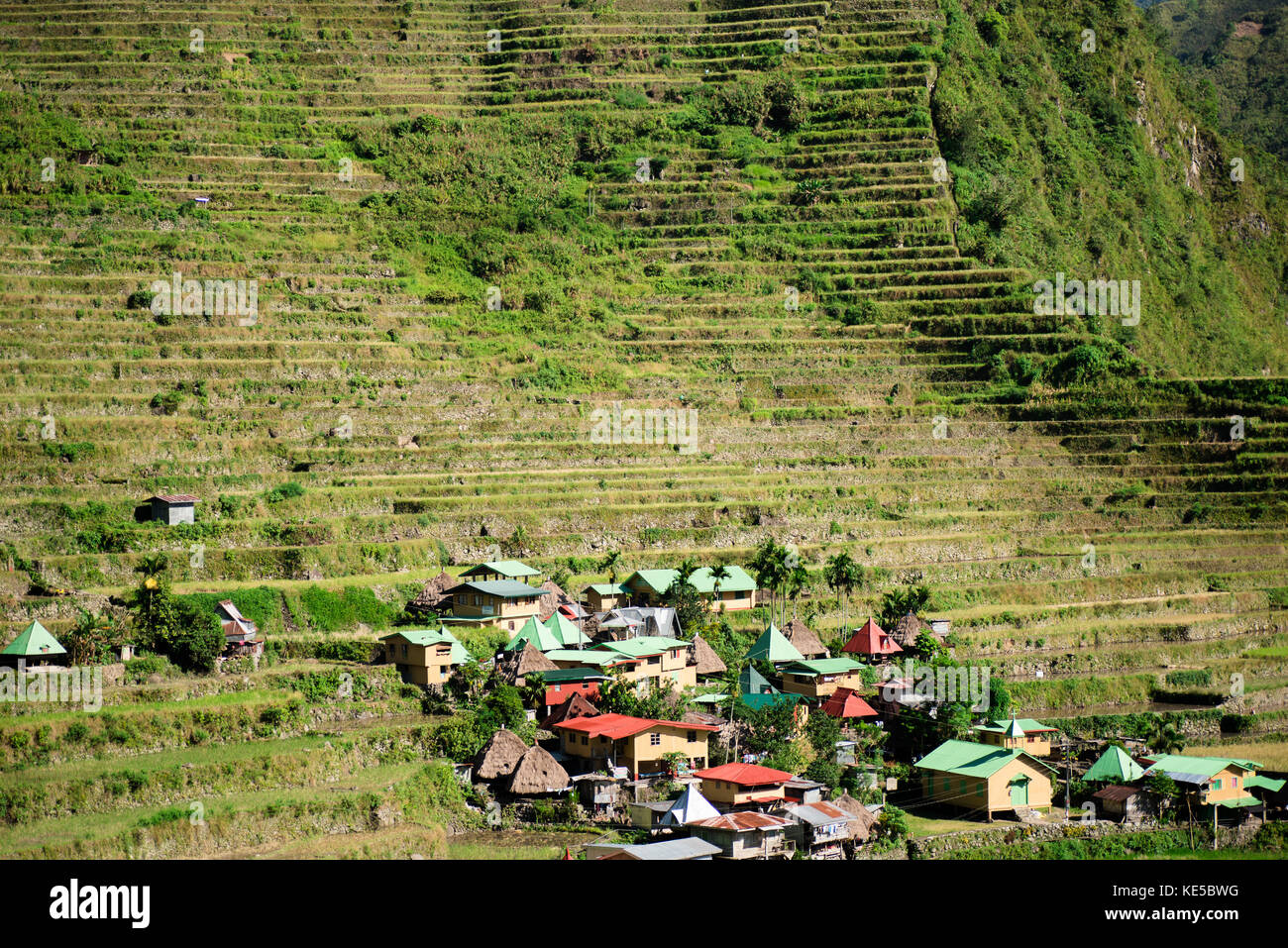 Batad Rice terraces, Banaue, Ifugao, Philippines Stock Photo - Alamy