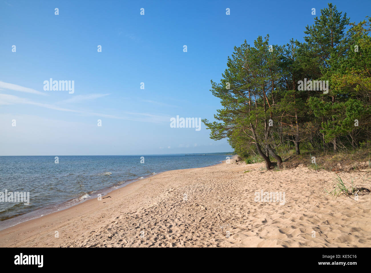 Summer at the Baltic sea Stock Photo - Alamy