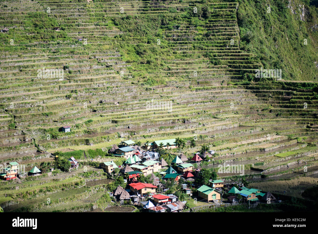 Batad Rice terraces, Banaue, Ifugao, Philippines Stock Photo - Alamy