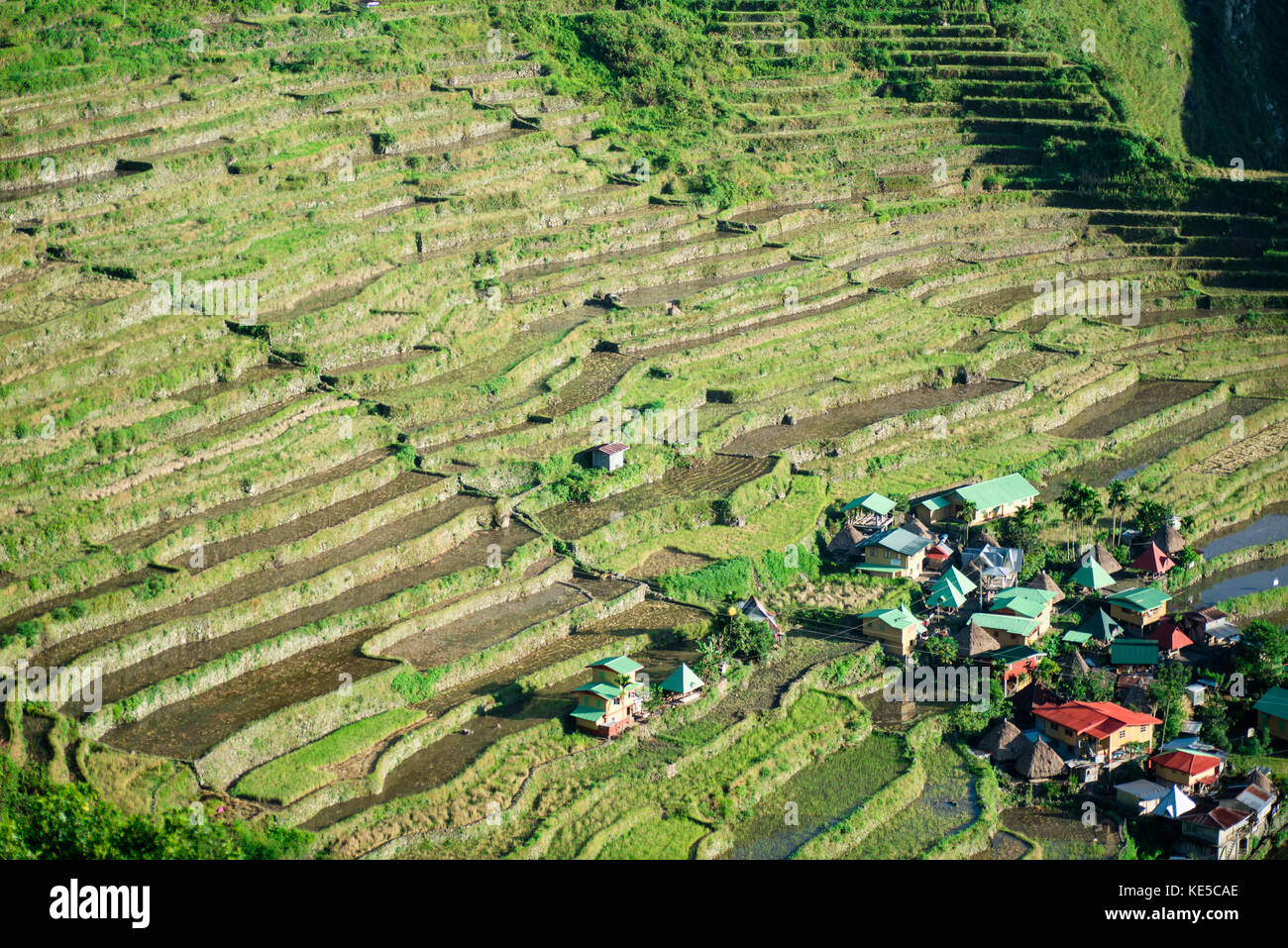Batad Rice terraces, Banaue, Ifugao, Philippines Stock Photo - Alamy