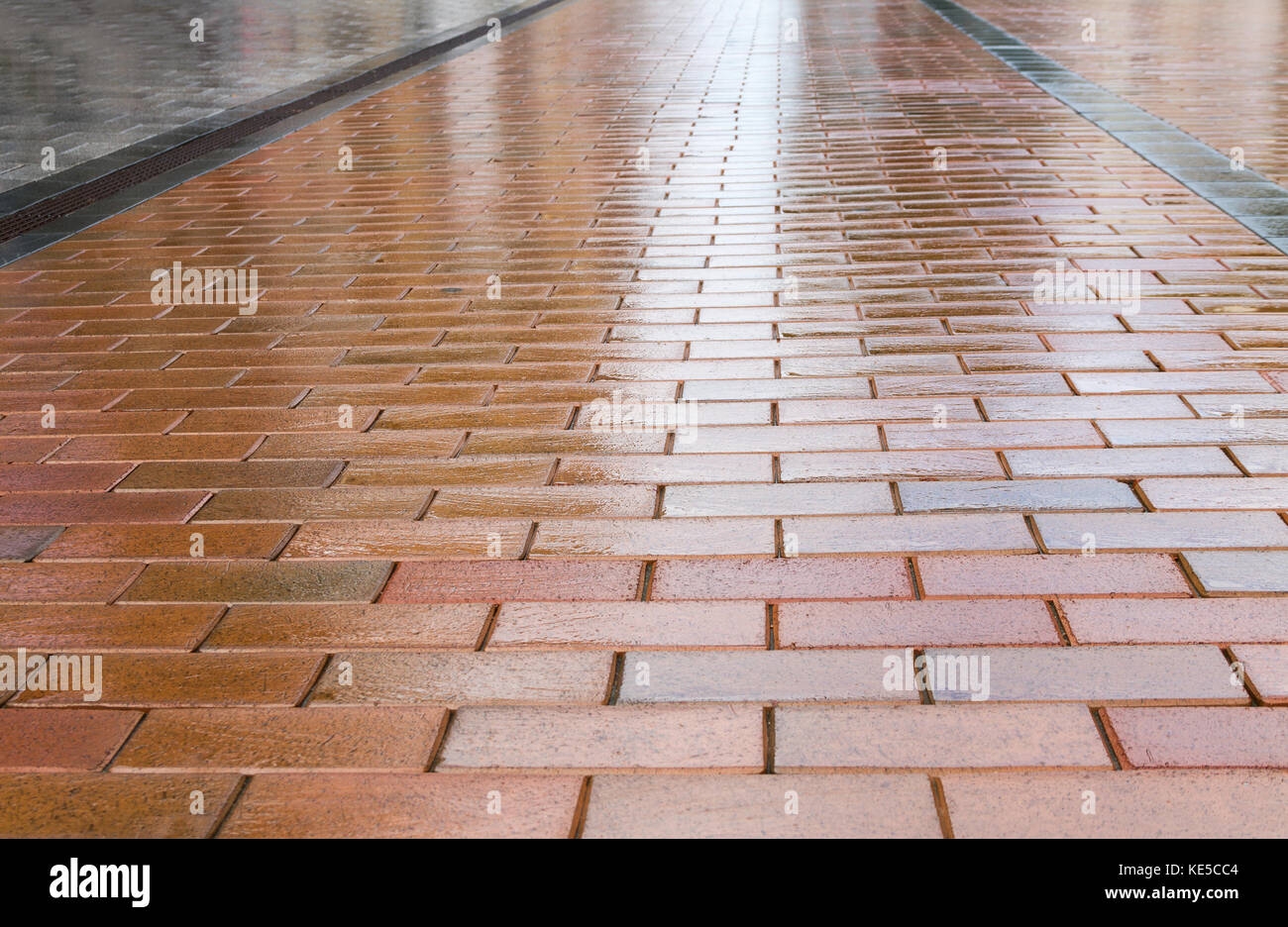 Wet pavement in rain Stock Photo - Alamy