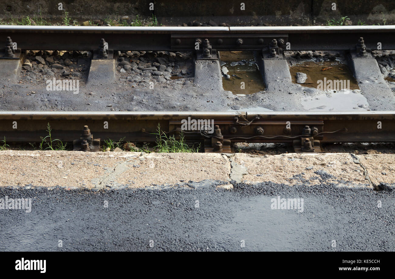 Old wet railway track Stock Photo - Alamy