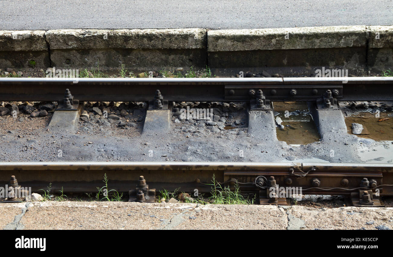 Old wet railway track Stock Photo - Alamy