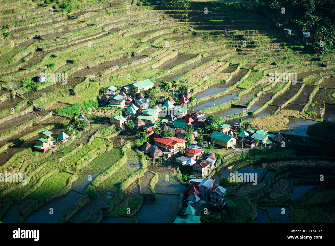 Batad Rice terraces, Banaue, Ifugao, Philippines Stock Photo - Alamy