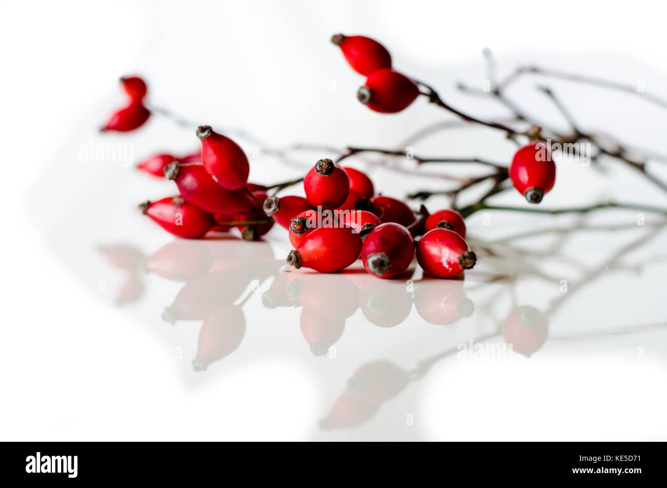 group of briar scene Stock Photo - Alamy