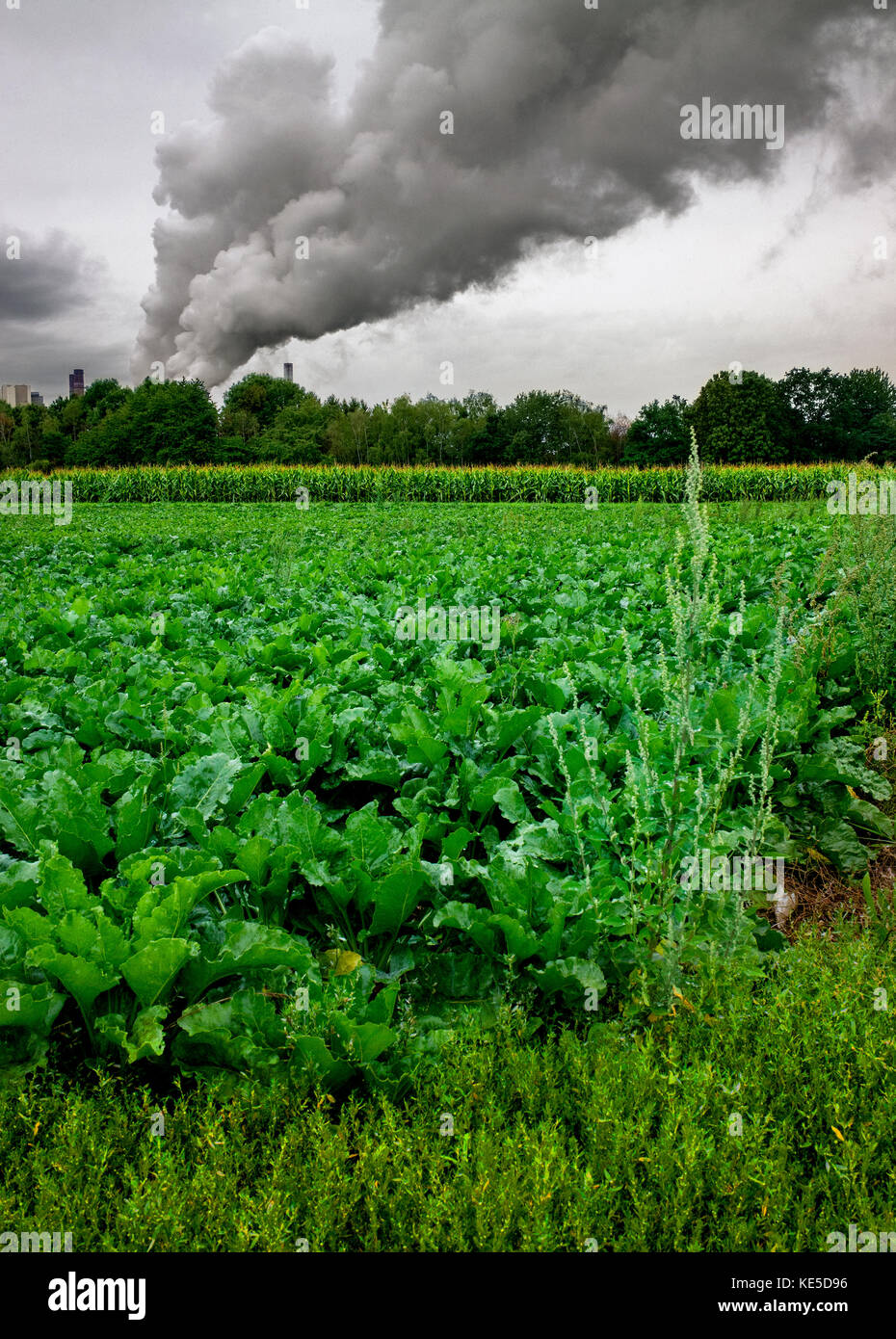 pollution factory chimney smoke green fields agriculture foreground ...