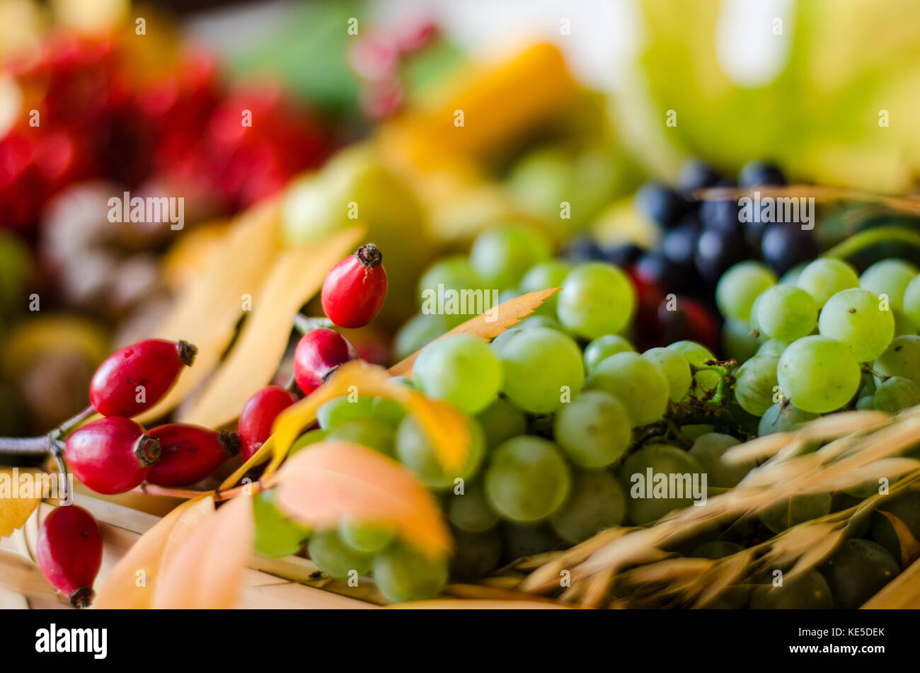group of colorful autumn fruits Stock Photo - Alamy