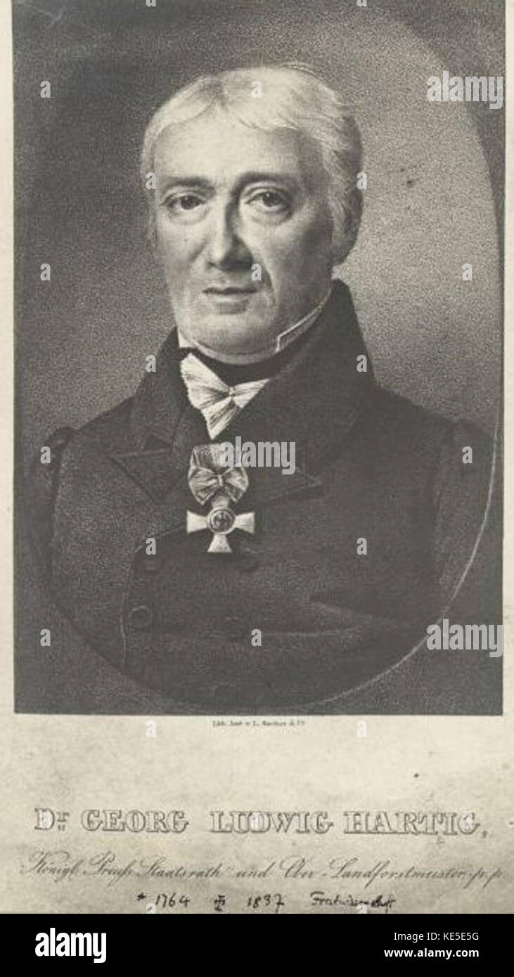 Georg Ludwig Hartig 2 Stock Photo - Alamy