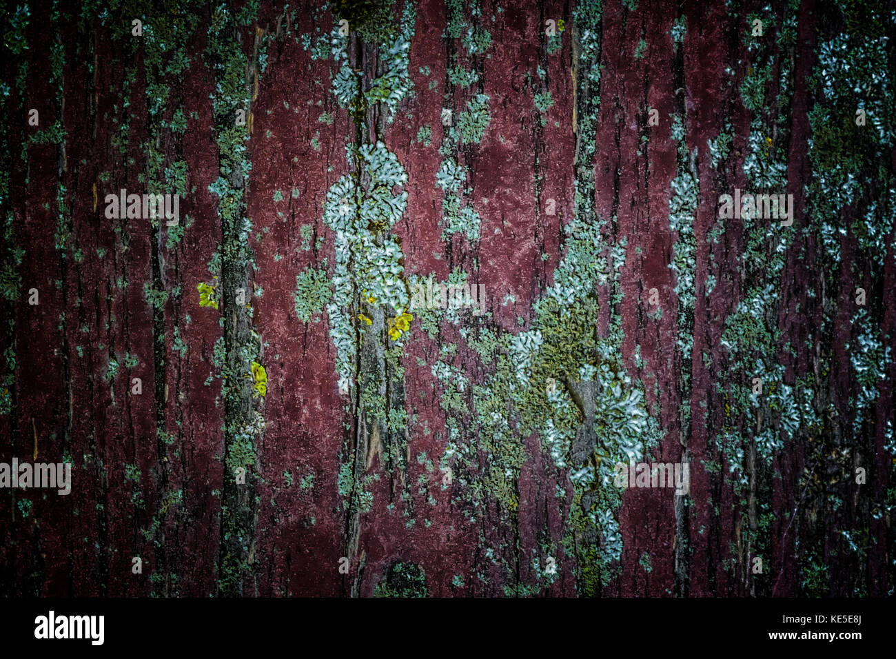 Very old, grunge, rustic wood texture with natural patterns and cracks ...