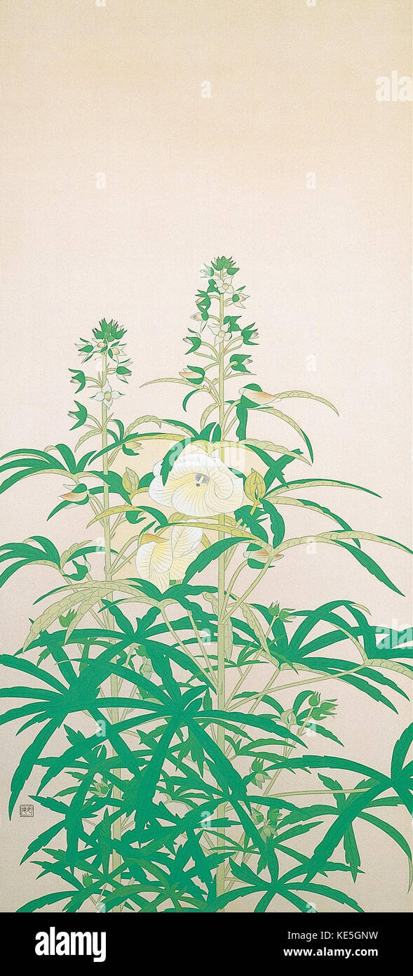 Tsuchida hi-res stock photography and images - Alamy