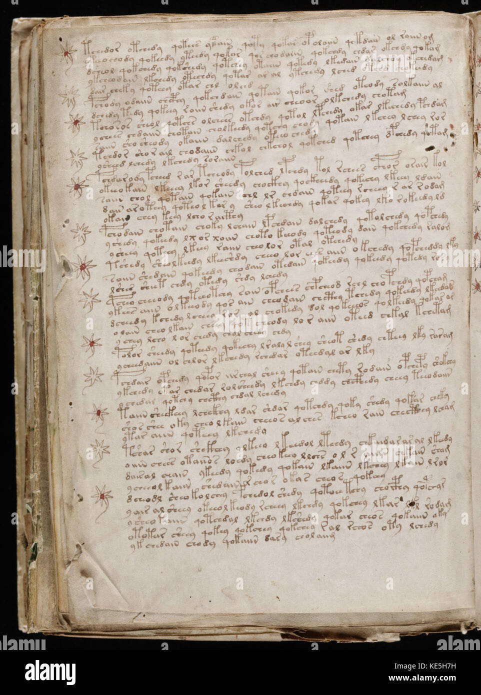 The Voynich Manuscript, a mysterious and undecoded text, features a mix ...