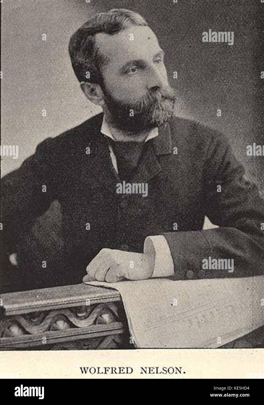 Wolfred nelson photo Stock Photo - Alamy