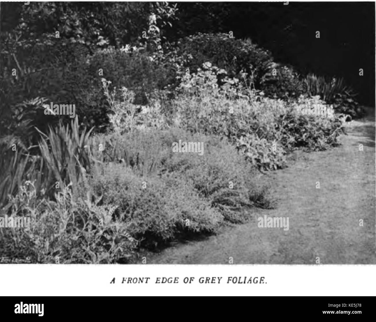 Ancient colour Black and White Stock Photos & Images - Alamy