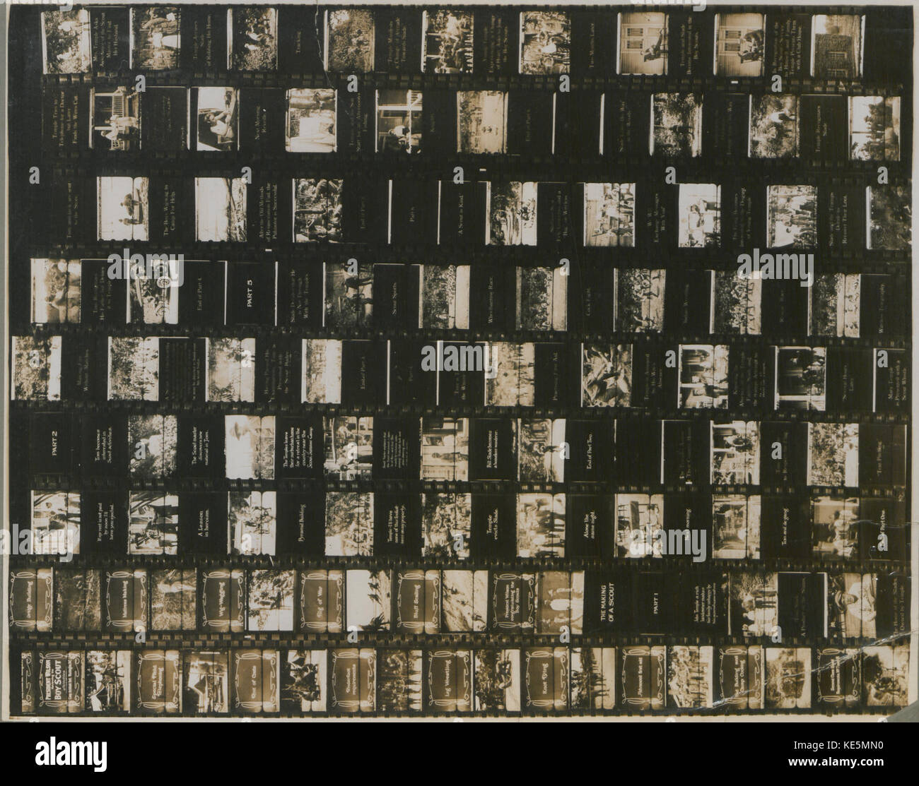 An image illustrating the process of training and forming scouts ...