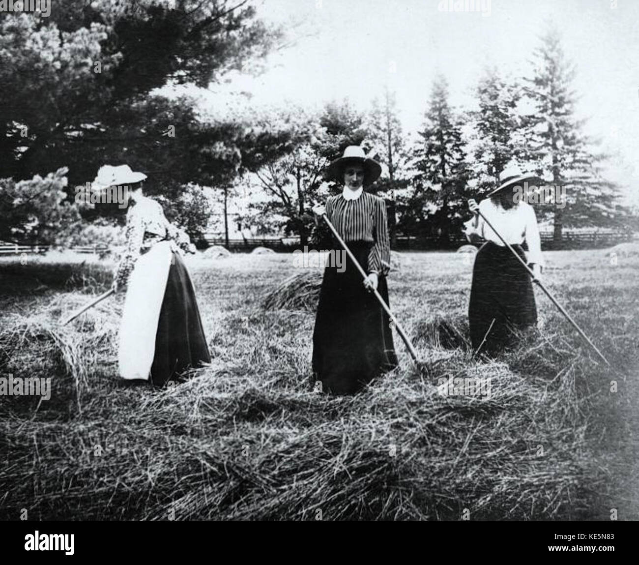 Foins hi-res stock photography and images - Alamy