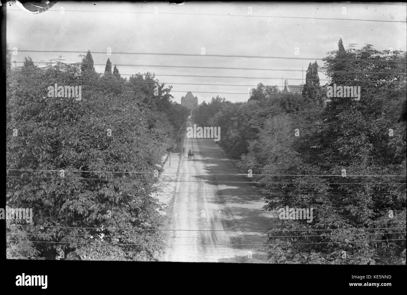 Tree lined community Black and White Stock Photos & Images - Alamy