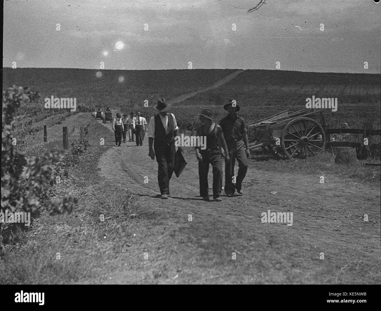 Wine vineyard Black and White Stock Photos & Images - Alamy