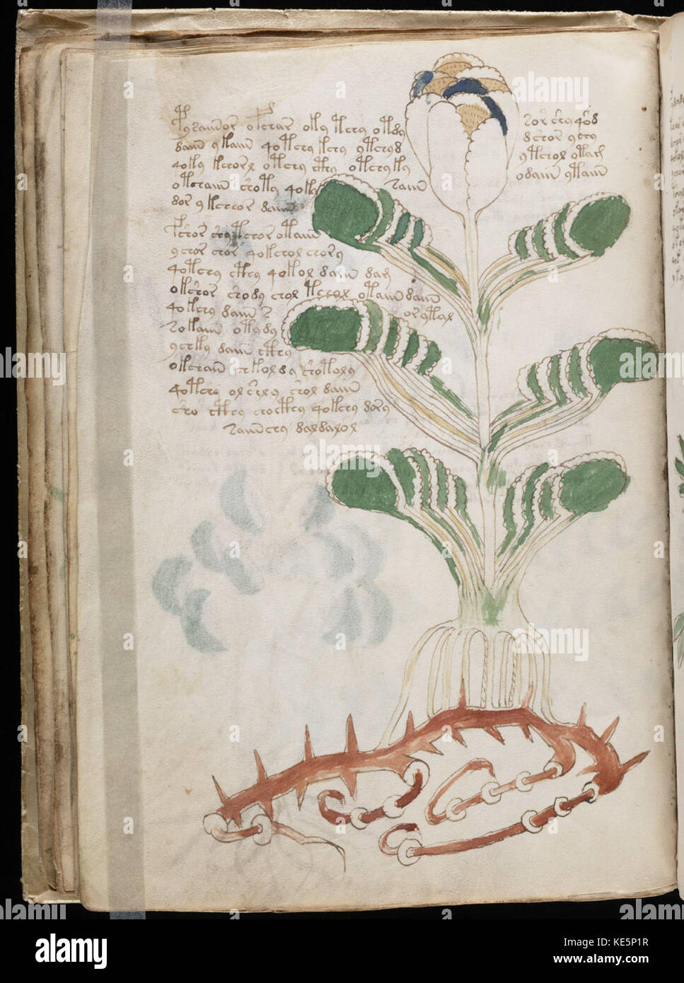 Voynich manuscript research hi-res stock photography and images - Alamy