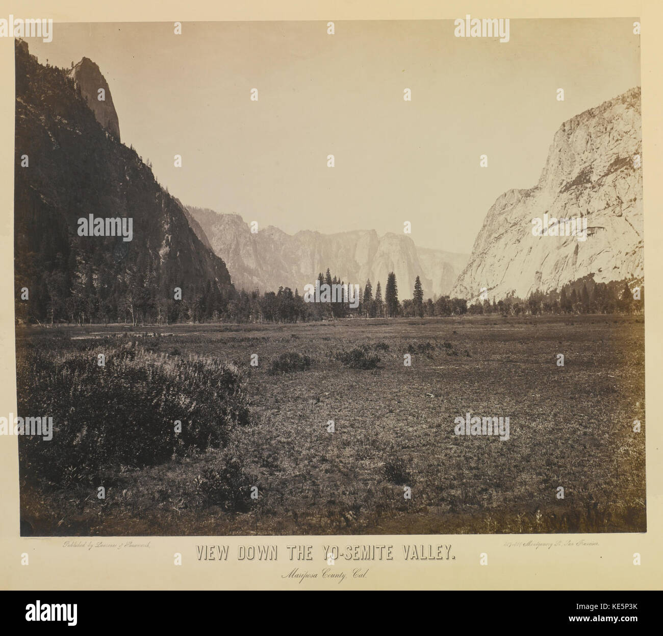 A striking 1864 photograph of Yosemite Valley taken by Charles L. Weed ...