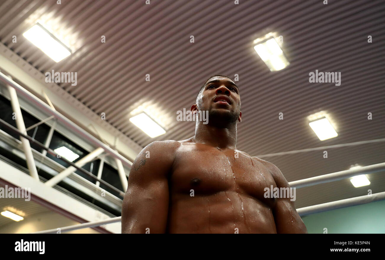 Anthony Joshua during a media session at the English Institute of Sport ...