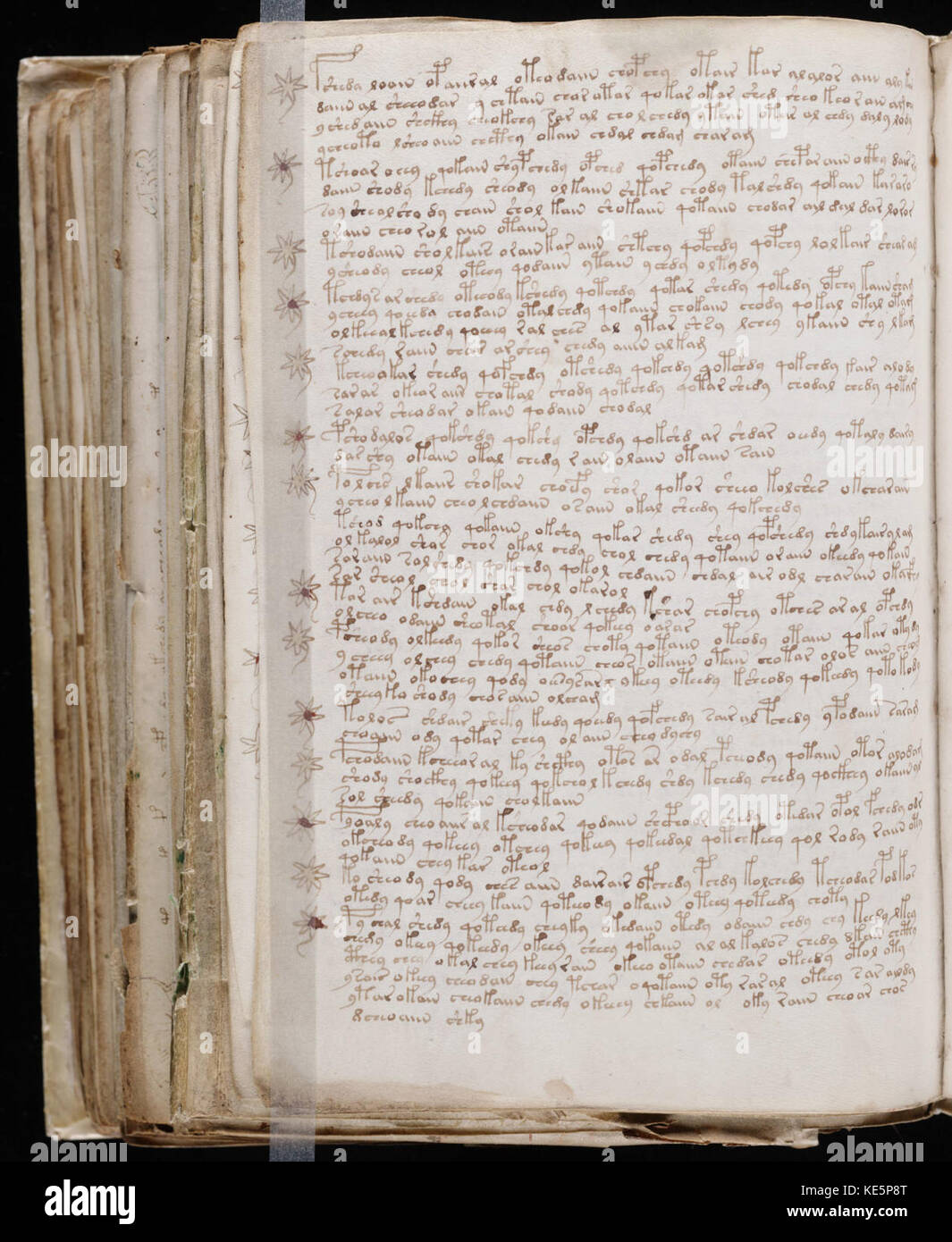 Voynich manuscript research hi-res stock photography and images - Alamy