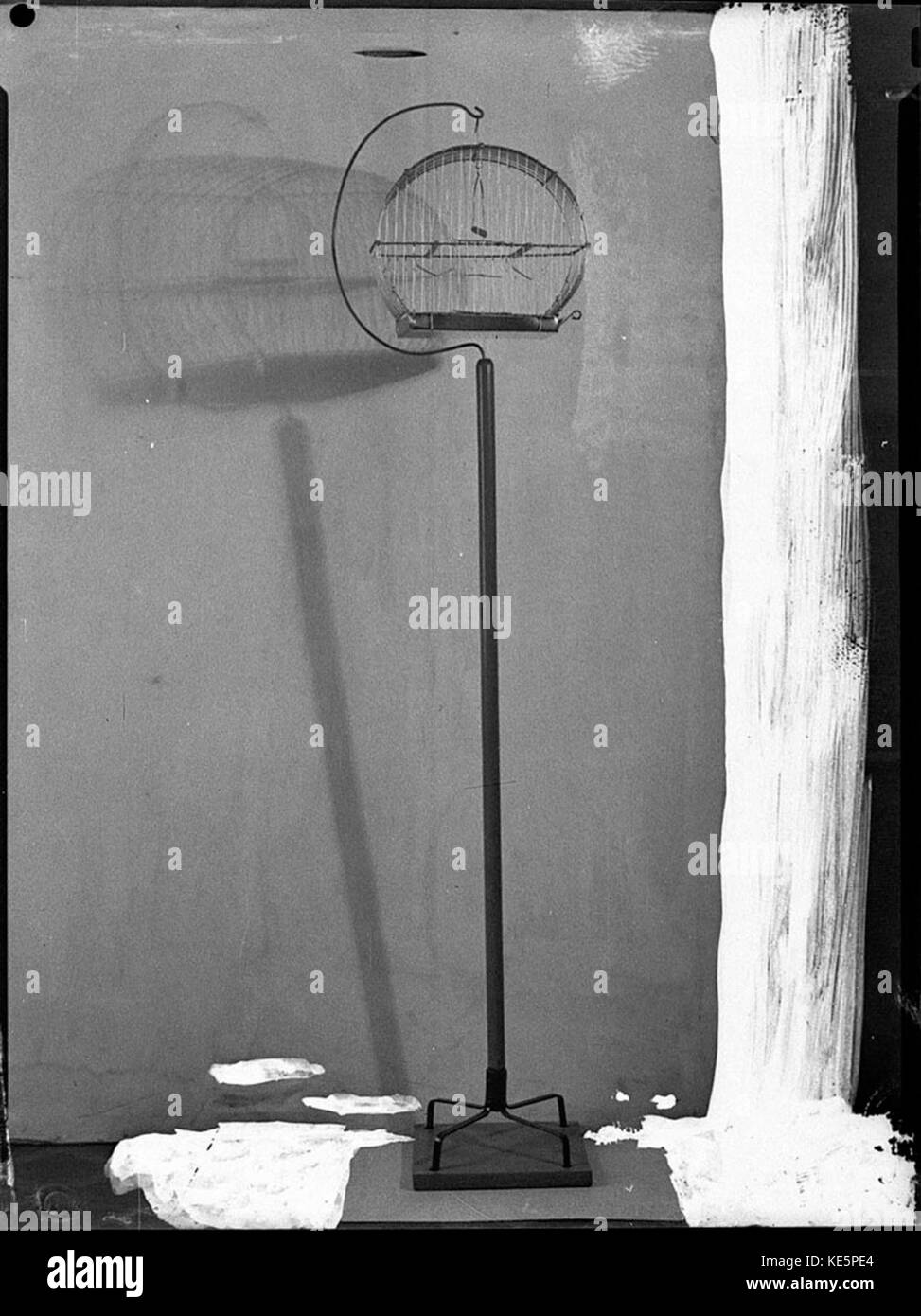 Bird and enclosure Black and White Stock Photos & Images - Alamy