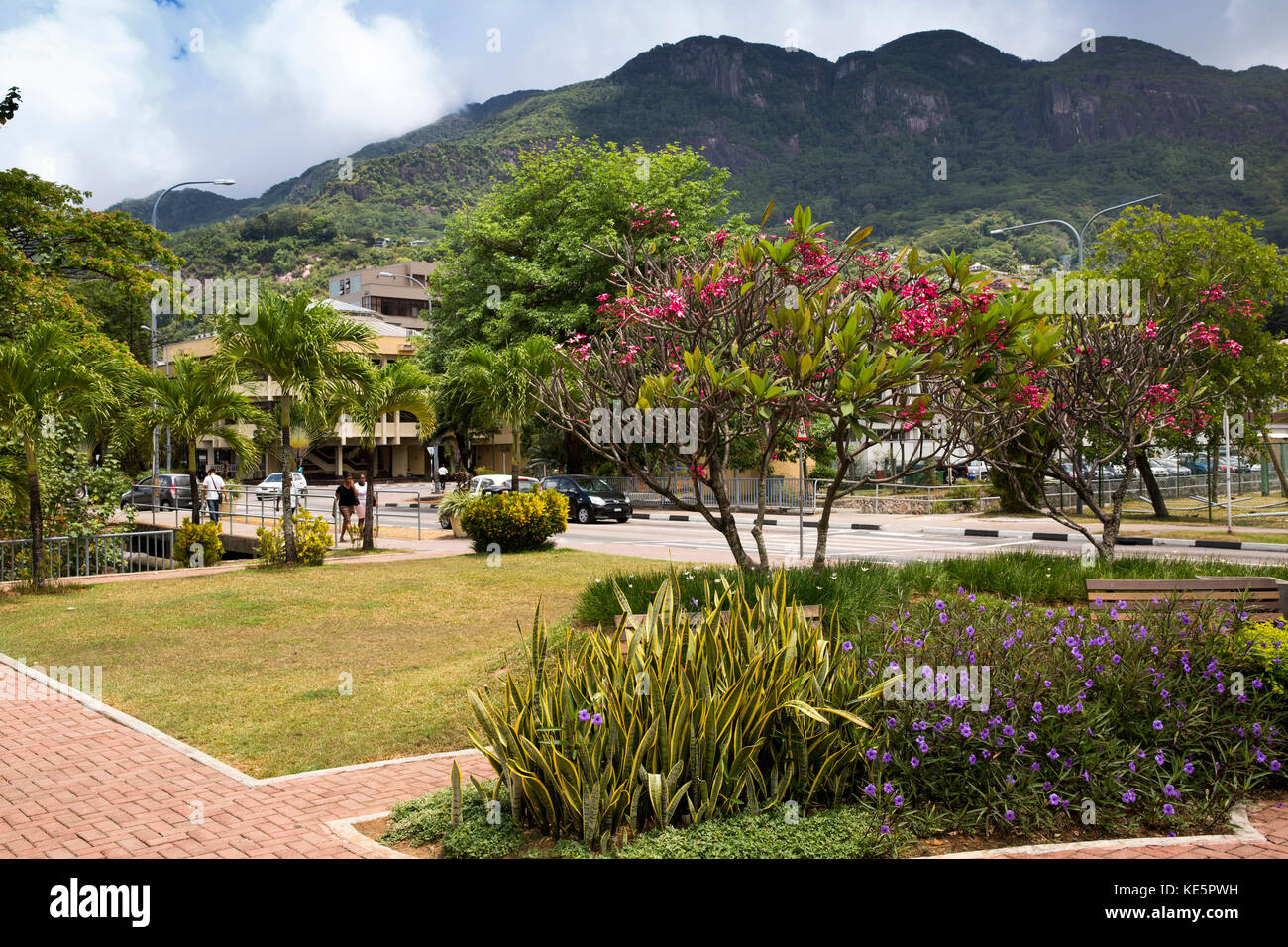 Tropical old flowers and parks hi-res stock photography and images - Alamy