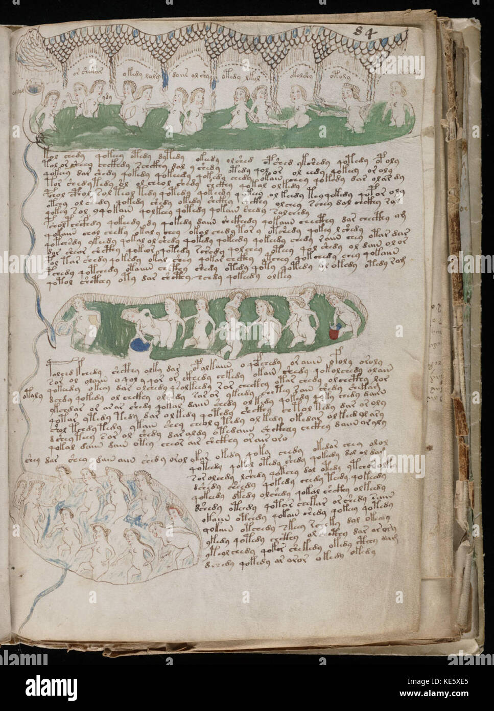 Voynich Manuscript (153 Stock Photo - Alamy