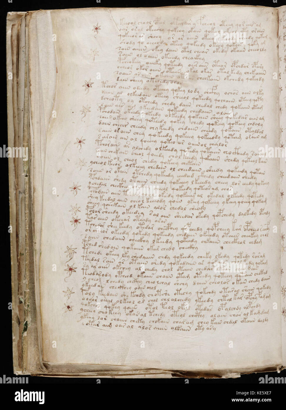 Voynich Manuscript (198 Stock Photo - Alamy