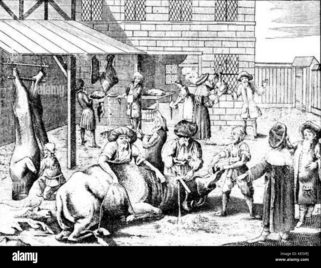 Shechitah hi-res stock photography and images - Alamy