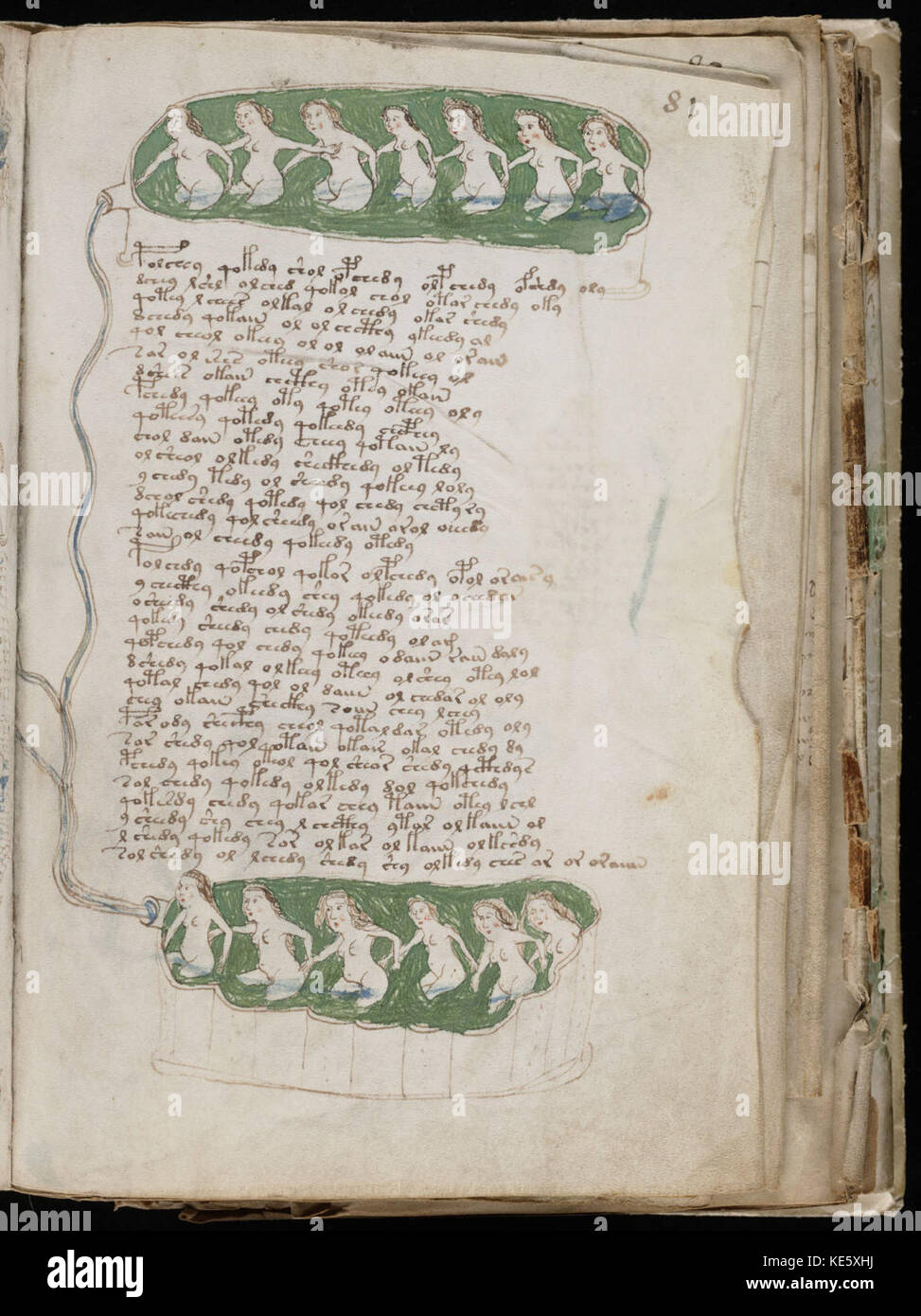 Voynich manuscript hi-res stock photography and images - Alamy