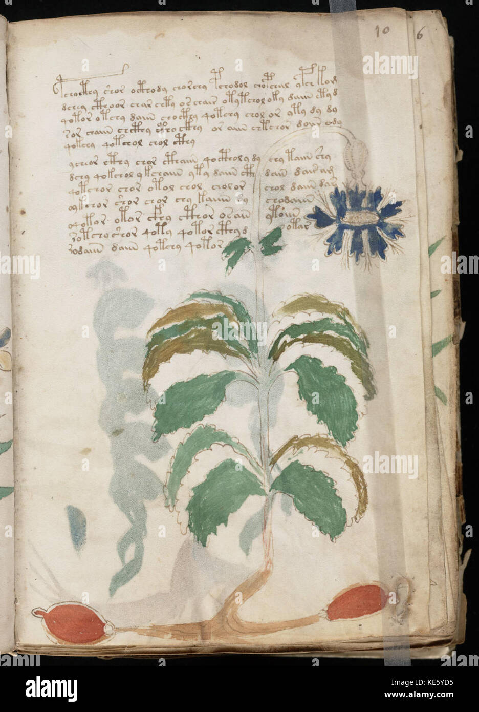 Astrological diagrams hi-res stock photography and images - Alamy